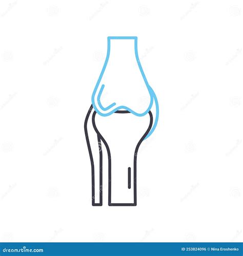 Knee Joint Line Icon Outline Symbol Vector Illustration Concept Sign