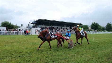 Sept Courses Hippiques Prévues Dimanche 16 Juillet