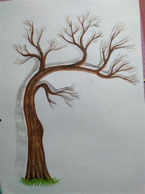 How To Draw Tree Branches Artofit