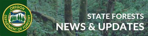 Odf Proposes Revised State Forest Implementation Plans Opens 30 Day Comment Period • Highway 58