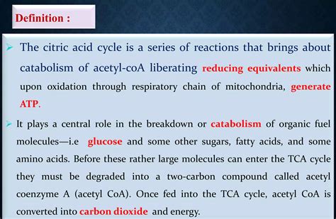 Citric Acid Cycle Tca Ppt
