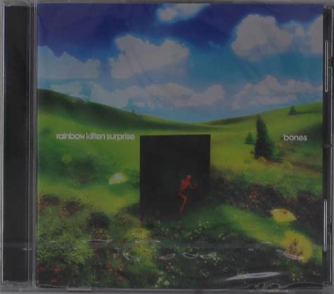 Rainbow Kitten Surprise Bones Cd Jpc De