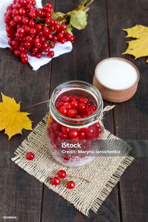 어두운 나무 바탕에 붉은 육즙 열매 설탕 유리에가 막 살 나무속의 항아리 잼을 만들기 위한 차 약용 식물입니다 가을에 대한 스톡 사진 및 기타 이미지 Istock