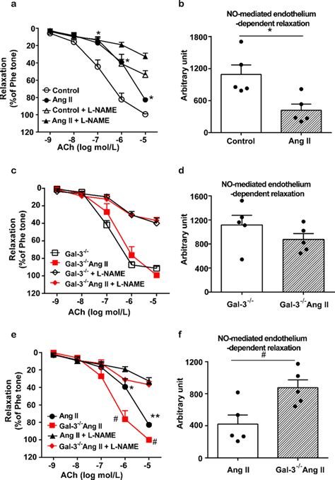 Gal 3 Deletion Restores No Mediated Endothelium Dependent Relaxation In