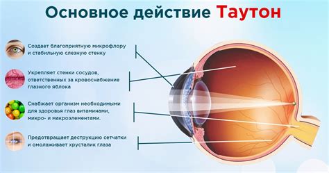 Таутон для зрения - инструкция по применению | МедИнструкция