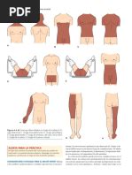 Uso De La Posición Genupectoral En Medicina Pdf