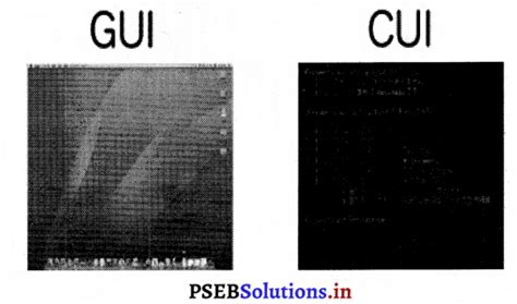 Pseb 7th Class Computer Solutions Chapter 7 एम० एस० डॉस Pseb Solutions
