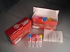 100mm Dntp 25mm Each10 Biokit