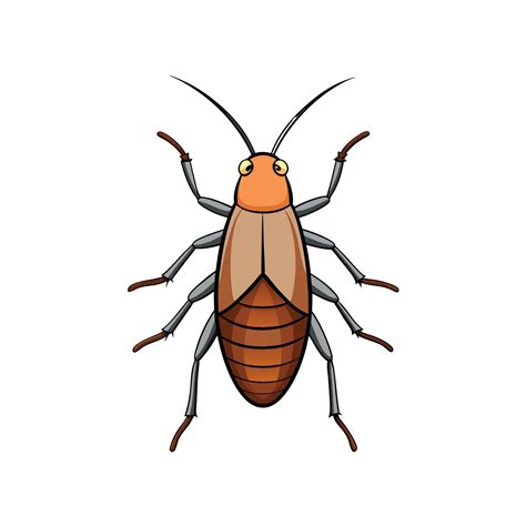 Cartoon Style Cockroach Illustration Isolated On Clean White Backdrop 66191666 Vector Art At