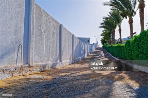거리는 한쪽에는 야자수가있는 정원과 맑은 저녁 하늘을 배경으로 다른 한쪽에는 하얀 돌 울타리가 있습니다 교외 거리 개념 그림자에