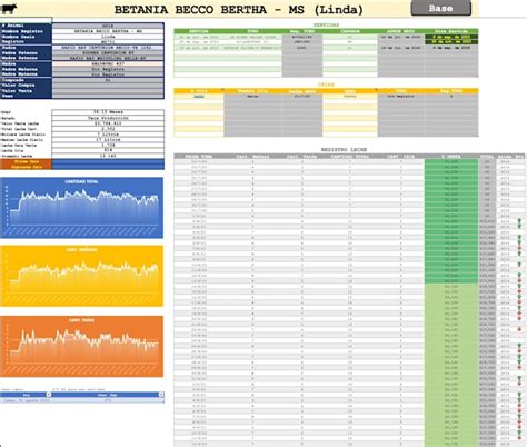 Create Amazing And Functional Dashboards In Excel By Wiantor Fiverr