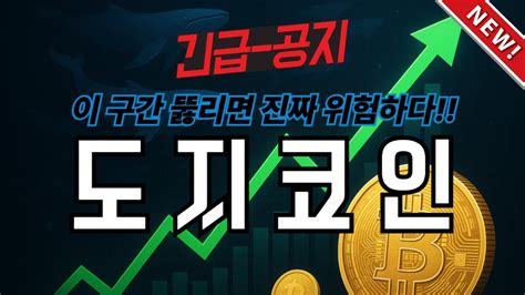 ️긴급 ️도지코인 이 구간 뚫리면 진짜 위험하다 Youtube