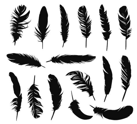 Bird Different Feathers Silhouettes Premium AI Generated Vector