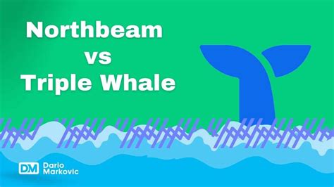 Northbeam Vs Triple Whale The Ultimate E Commerce Analytics Battle 2025 Dario Markovic