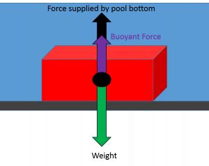Buoyant Force Free Body Diagram Wiring Site Resource