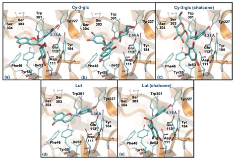 Representation Of The Structure Of Hyaluronidase Complexed With