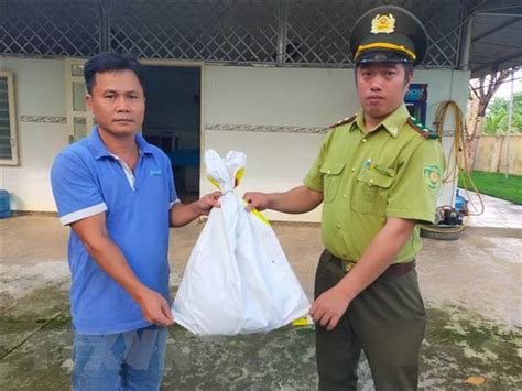 Rare Burmese Peacock Pheasant Discovered In Bình Phước