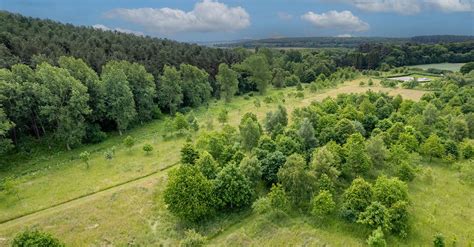 Memorial Trees Of Tithe Green Tithe Green Natural Burial