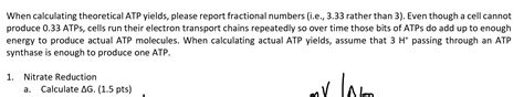 solved when calculating theoretical atp yields please