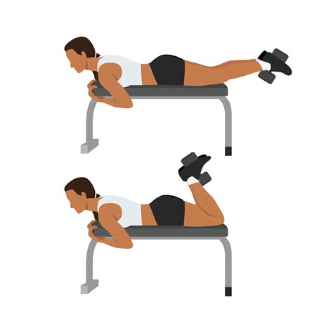 Woman Doing Dumbbell Hamstring Curl On Bench Exercise 27199864 Vector