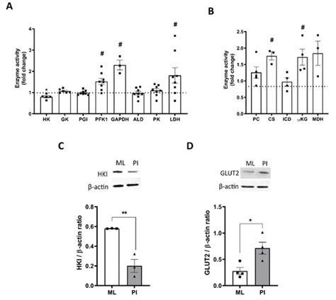 Cells An Open Access Journal From Mdpi