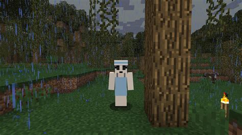 Minecraft Monika By Doctorloops By Toainsully On Deviantart