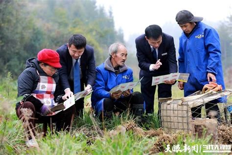 天眼影像贵州黔西：金融下沉助力乡村振兴雨朵镇产业银行