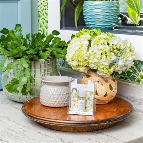 Hydrangea Greenleaf Ts
