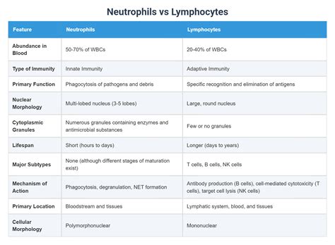 Neutrophils Vs Lymphocytes