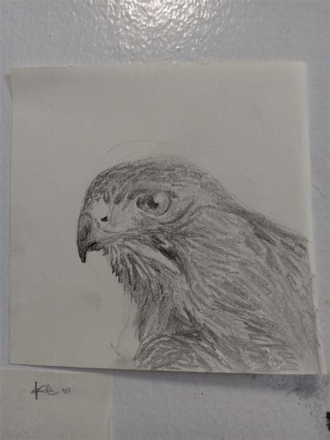 Ax Animorphs On Tumblr