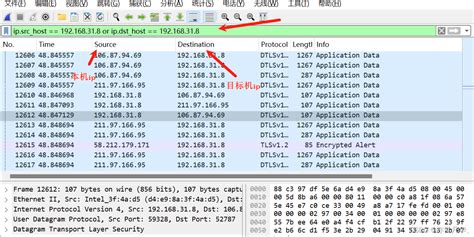 Wireshark 安装指南：详细安装步骤和使用技巧 Wireshark安装教程 Csdn博客