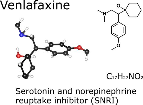 6 Desvenlafaxine Stock Vectors And Vector Art Shutterstock