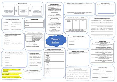 Memory Knowledge Organiser Gcse Psychology Aqa Teaching Resources