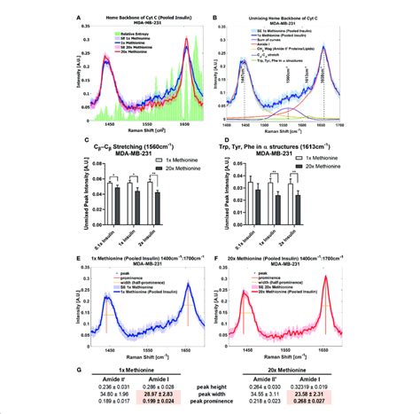 Spontaneous Raman Spectroscopy Detects Cytc Presence And Protein