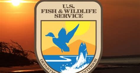Fish And Wildlife Service Logo