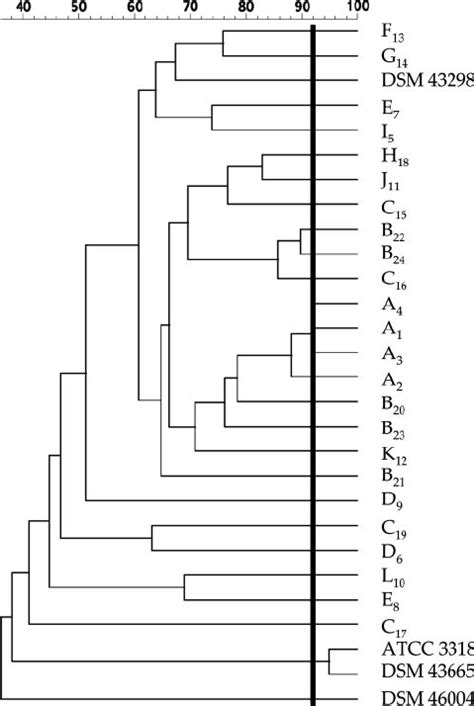 Aflp Dendrogram Created By Upgma Clustering Using Download Scientific