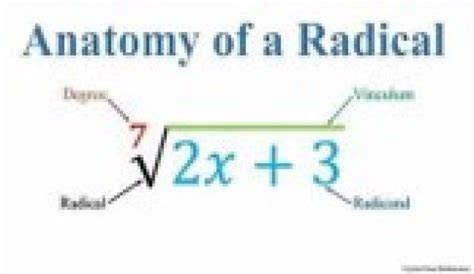 Radical是什么意思radical的用法radical的单词速记radical怎么读radical的考法radical的中文释义radical的例句radical的音标