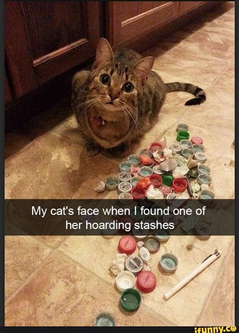 Hoarding Memes Best Collection Of Funny Hoarding Pictures On Ifunny