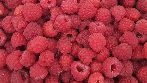 Git Useful Commands Coderleaf