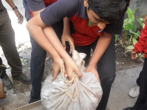 Composting An Exothermic Reaction Explorers