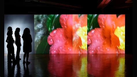 Pipilotti Rist Supersubjektiv At Museum Of Contemporary Art Chicago