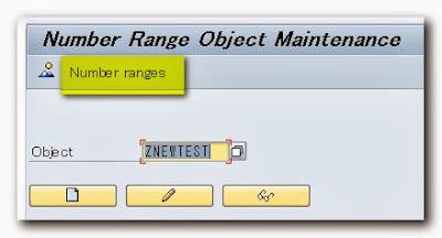 ABAP Thinkers How To Create A Number Range In SAP Using SNRO