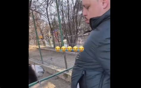 ВИДЕО Крајно некултурна комуникација меѓу роднини во скопската ЗОО News 24