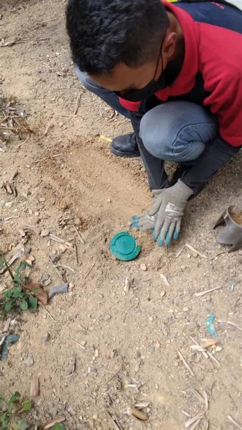 Termite Baiting System Skill Pest Control