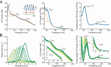 Estimating Gamma Frequency And Power A Left Average Lfp Power