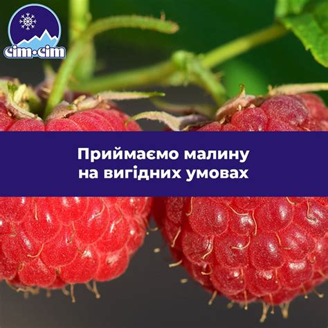 Тернопільський завод швидкозаморожених продуктів «cім Cім