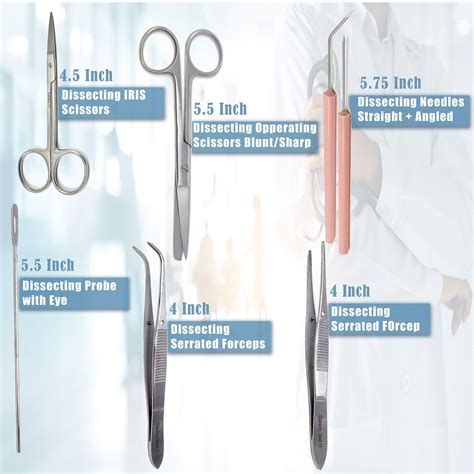 30 Pcs Anatomy Dissecting Tools Set With Carrying Case For Biology Stu