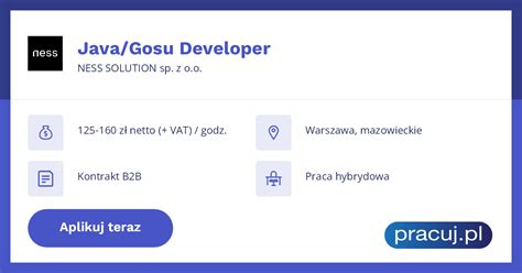 Oferta Pracy Javagosu Developer Ness Solution Sp Z Oo Warszawa