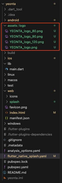 Flutter 01 Splash 화면앱 실행화면 구현하기