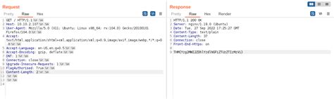Tryhackme Burpsuite Repeater